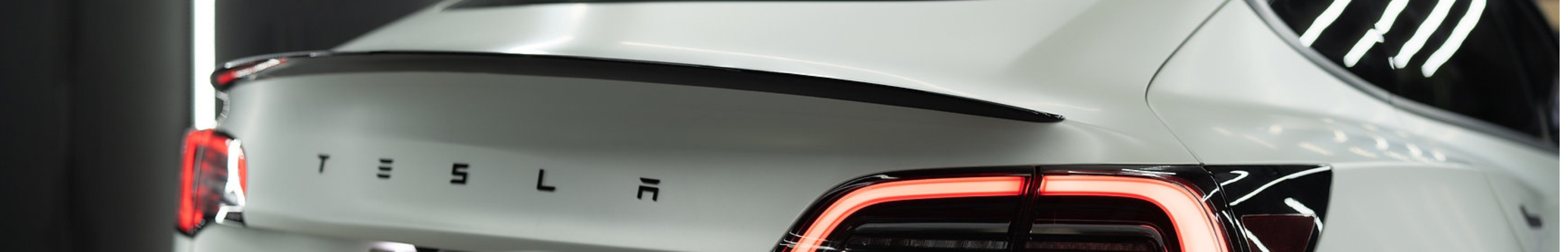 Tesla Emblems – EVMIZE